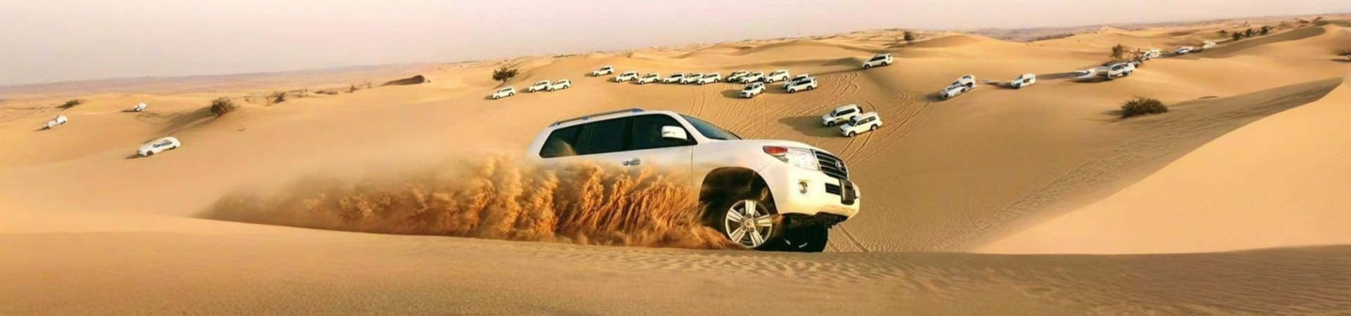 Desert Safari With Dinner In Ras Al Khaimah | Rayna Tours