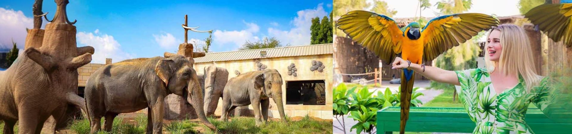 Emirates Park Zoo Tickets - Book Online