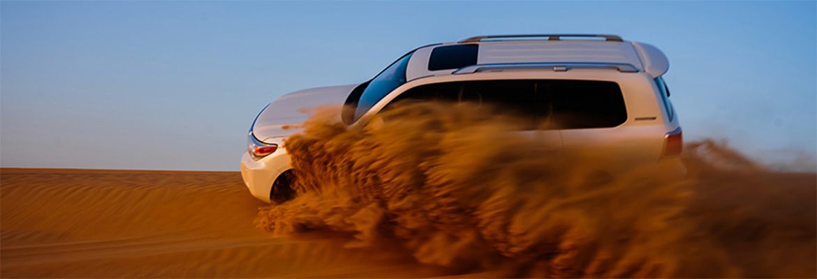 Evening Desert Safari in Dubai