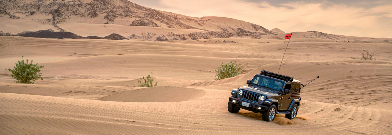 Riyadh VIP Desert Safari with Professional guide