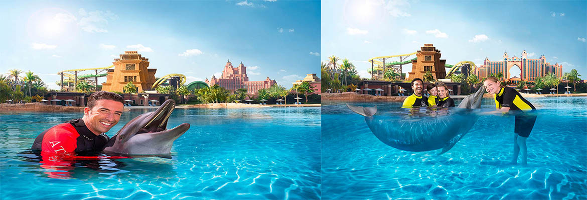 Dolphin Bay Atlantis Dubai Tickets 2024 - Atlantis Hotel Tours