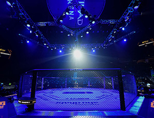 UFC Abu Dhabi - UFC Fight Night Abu Dhabi 1N/2D Package