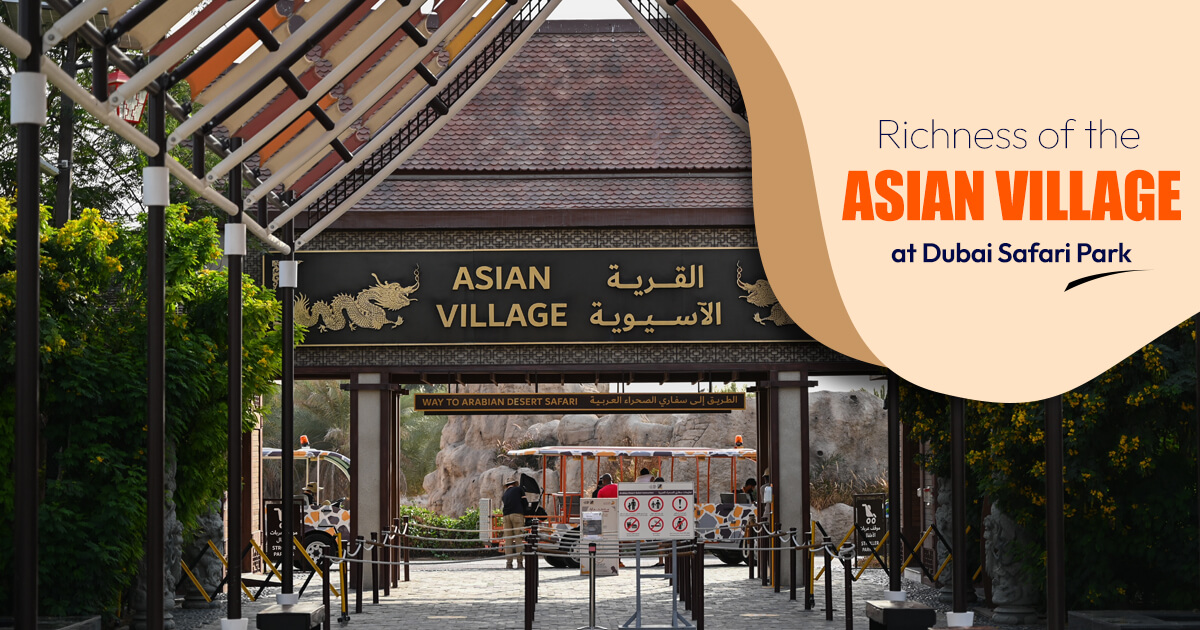 Explore Asian Village at Dubai Safari Park