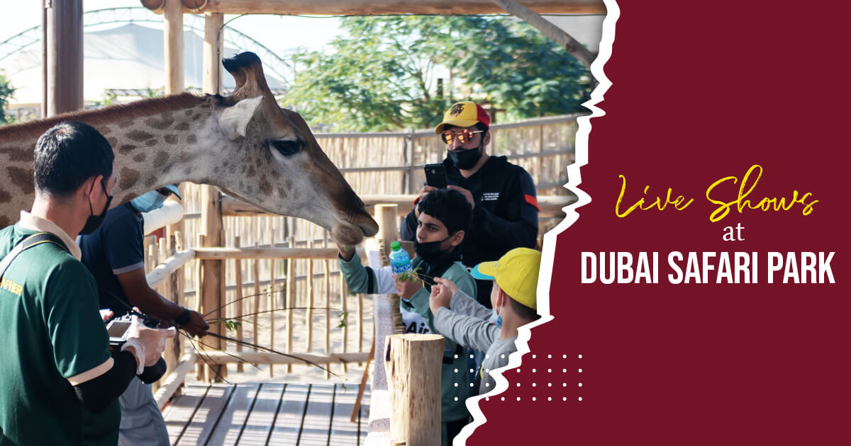 Enjoy the Best Live Shows at Dubai Safari Park