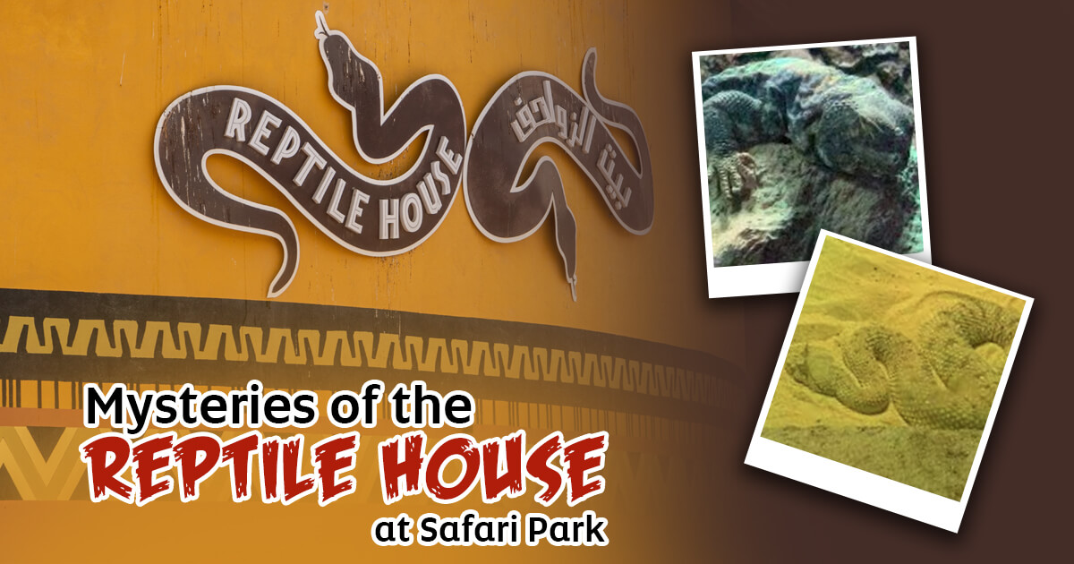 Exploring the Reptile House at Dubai Safari Park